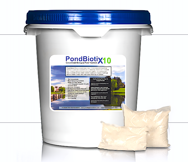 Pond Algae Solutions | Pond Algae Solutions